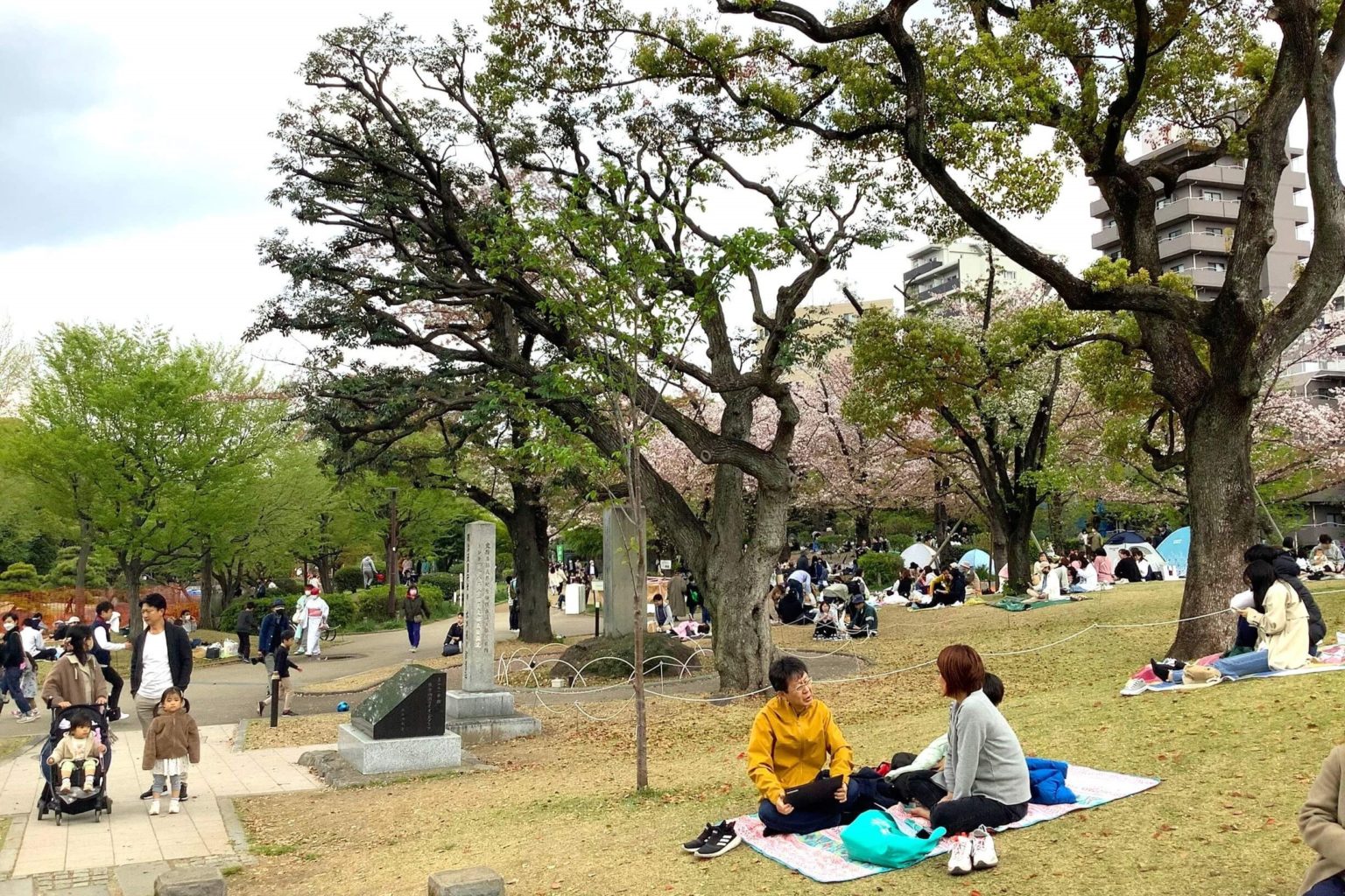 Japan Intercultural Consulting